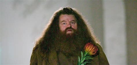 In Mourning Today. Hagrid has passed away. – Calling-all-RushBabes