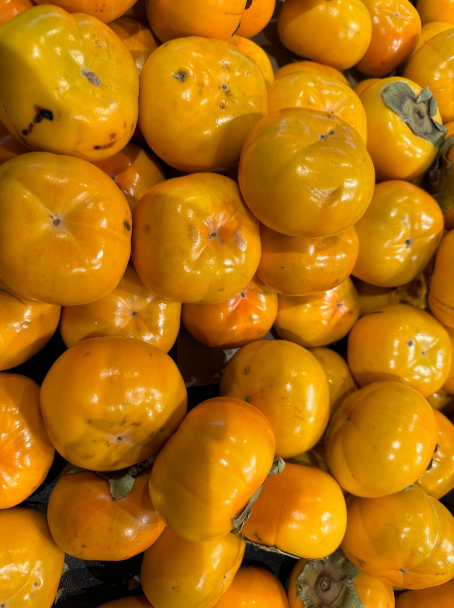 Lens-Artists Photo Challenge #275: Filling the Frame – Calling-all ...