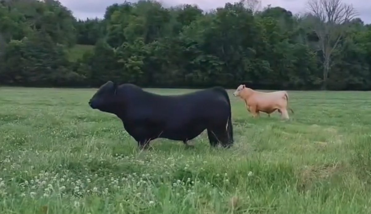 A new series on RushBabe49.com: Dustin Kittle’s Crusade to clean up the ...