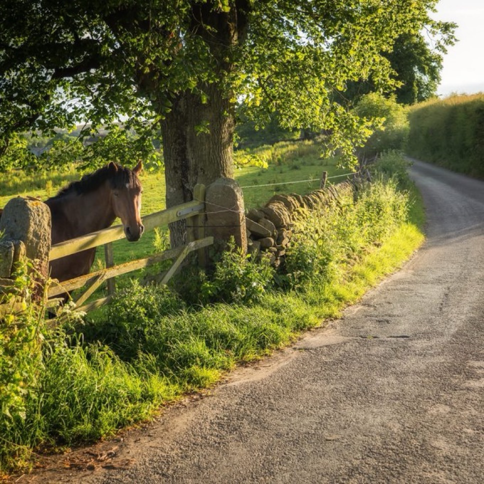 This one is for Hubby. Rural Britain. – Calling-all-RushBabes